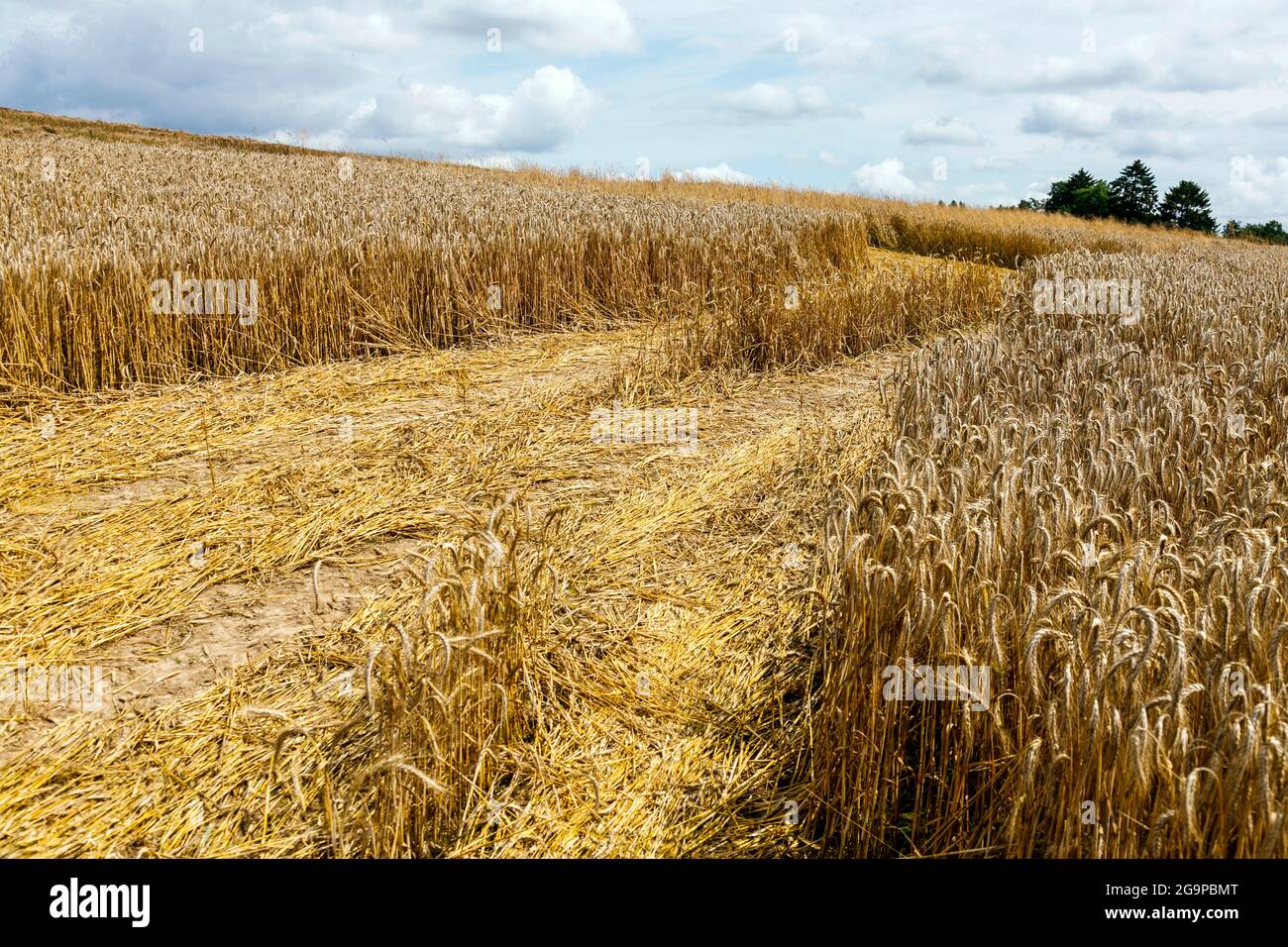 Roggenfeld hi-res stock photography and images - Alamy
