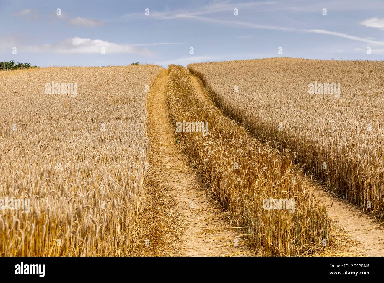 Der ernte hi-res stock photography and images - Alamy