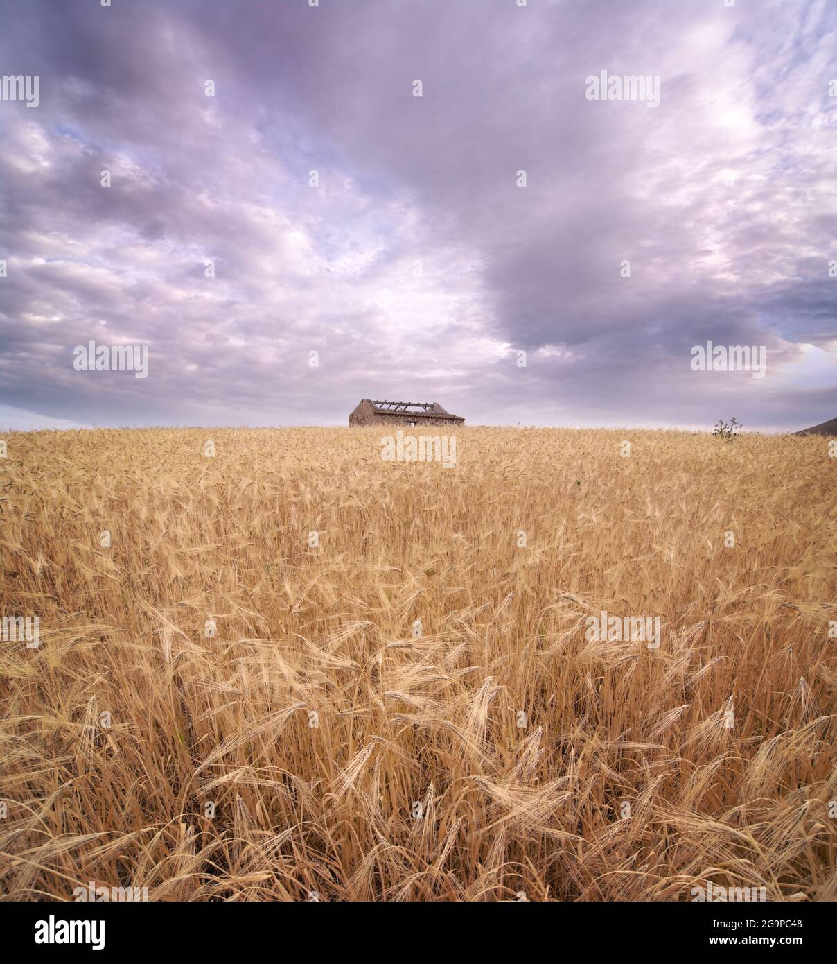 Shack in a field hi-res stock photography and images - Alamy
