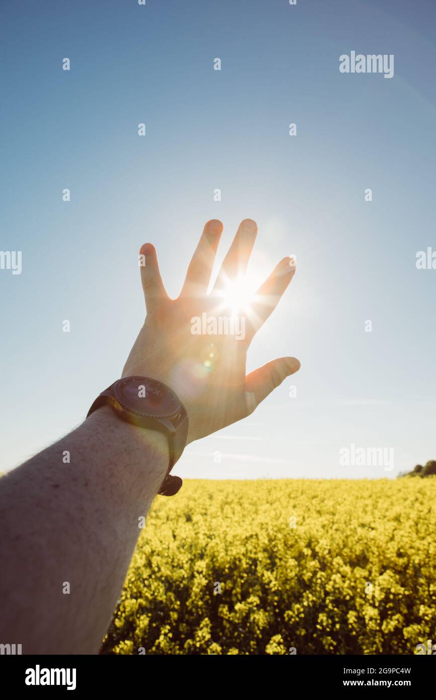 man hands with watch on wrist sun rays goes though fingers copy space ...