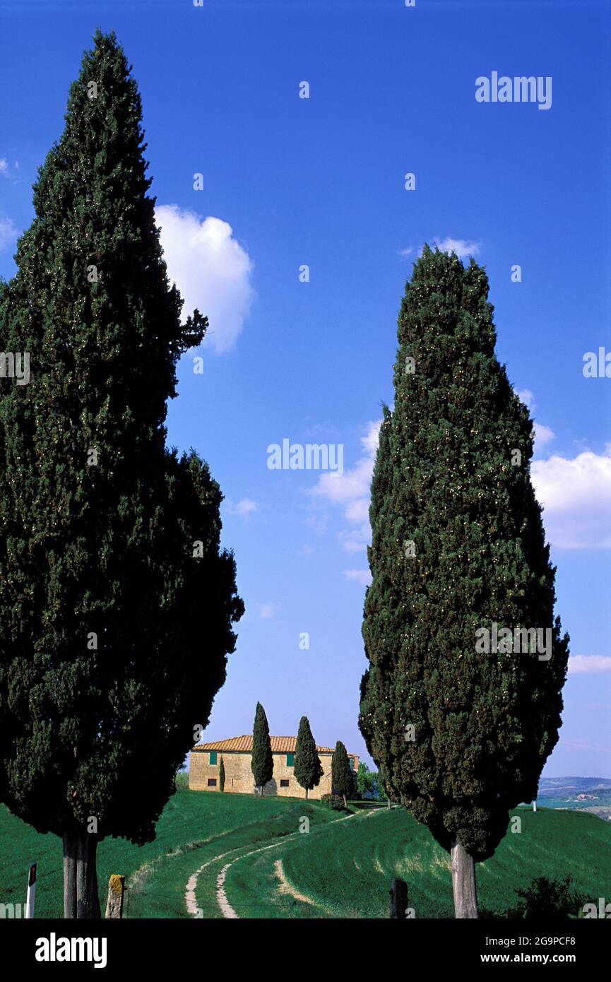 Italy, Tuscany, Sienna province, Crete landscape Stock Photo - Alamy