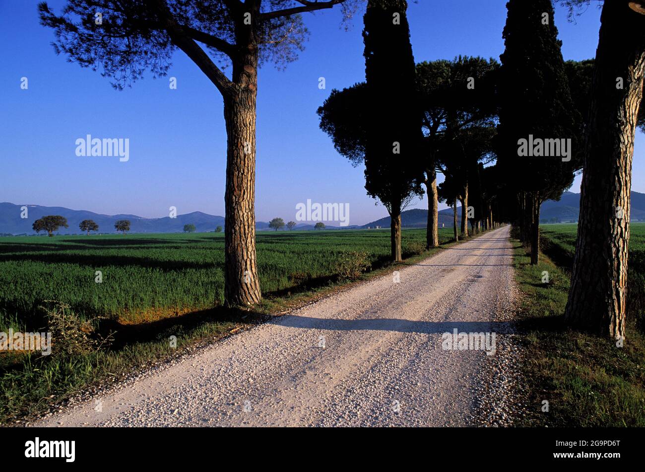 Italy, Tuscany, Sienna province, Crete landscape Stock Photo - Alamy