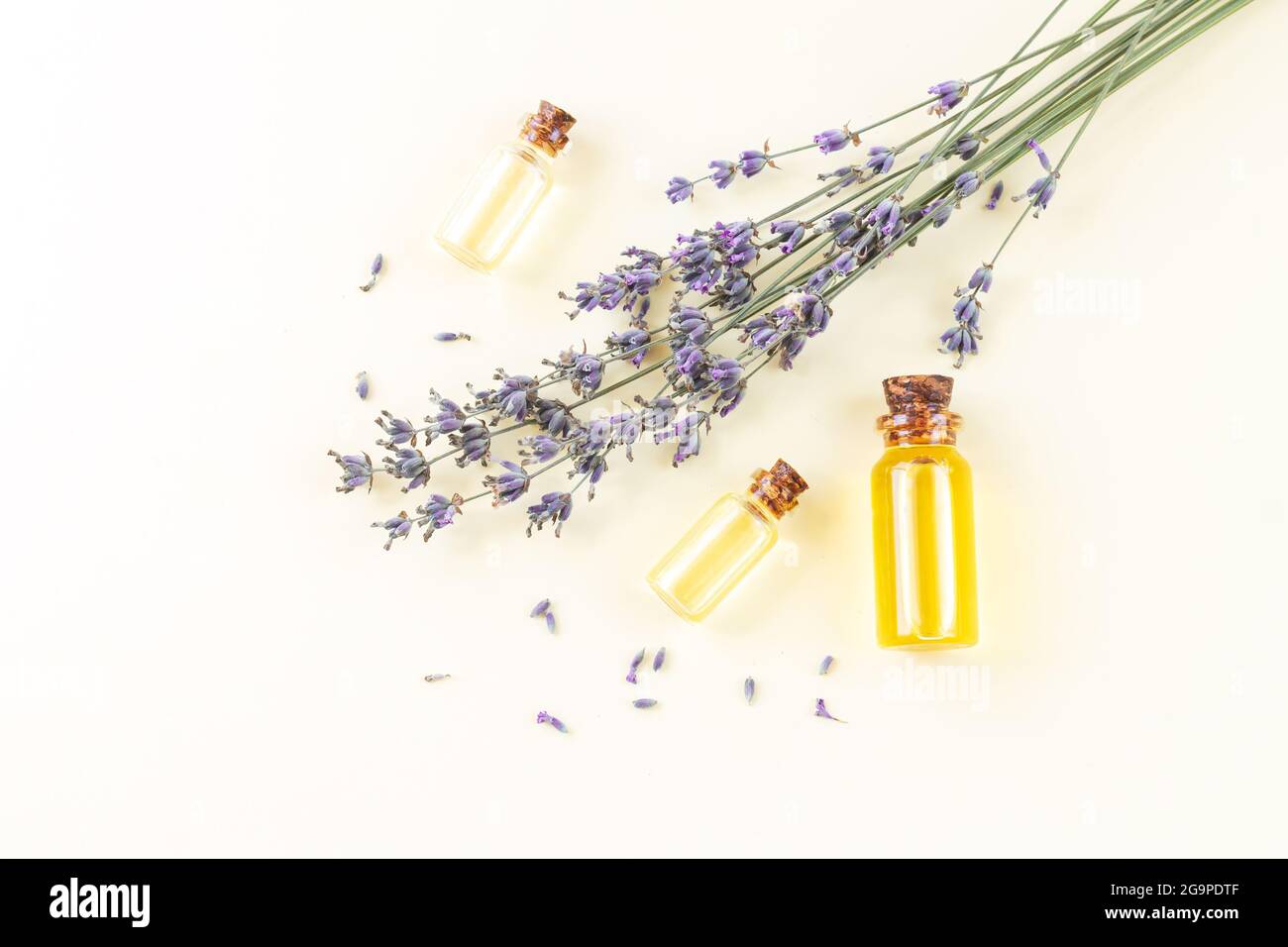 Glass bottles set of lavender essential oil or natural perfume with ...