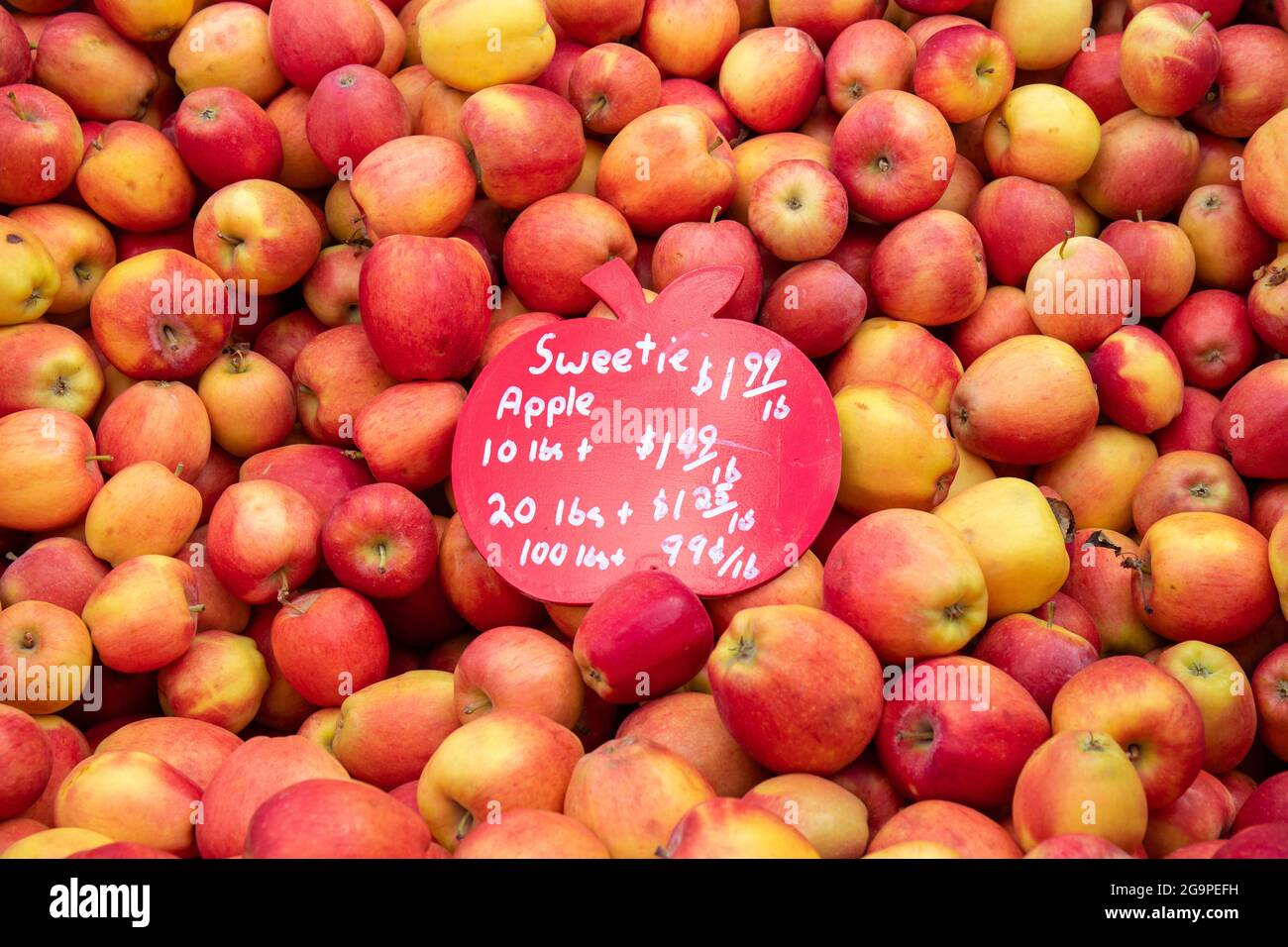 Pile of Sweetie Apples for Sale at Local Roadside Fruit Stand Market ...