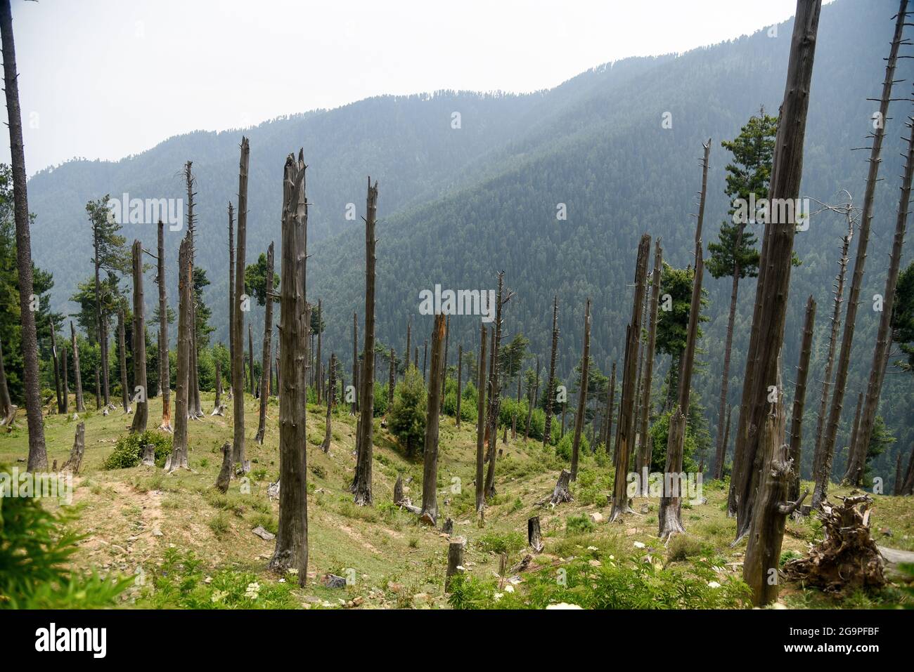 Chilas pakistan High Resolution Stock Photography and Images - Alamy