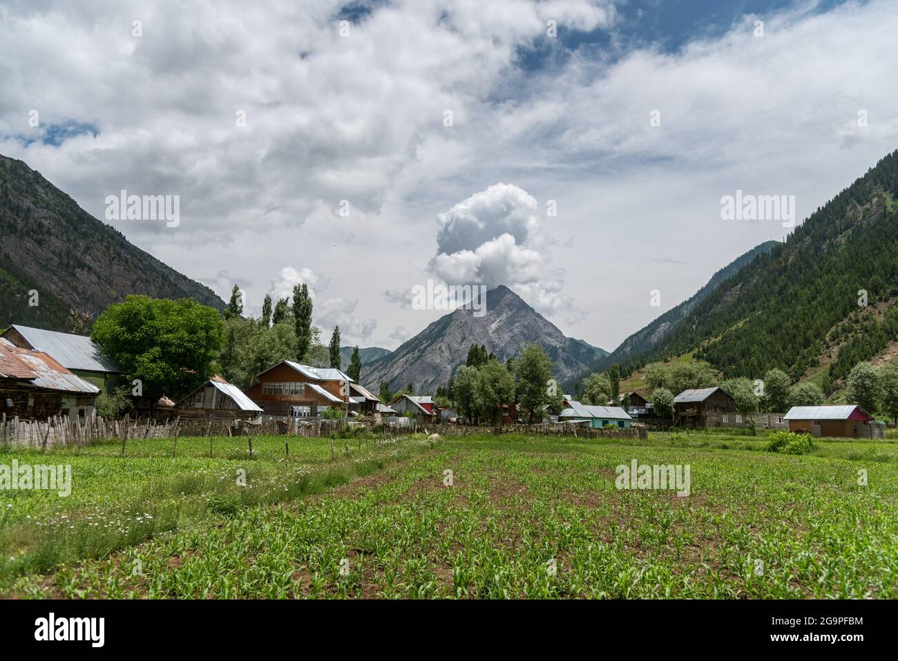 Habba khatoon hi-res stock photography and images - Alamy