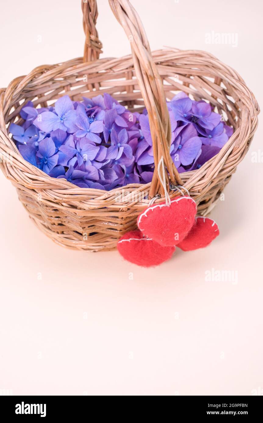 Vertical shot of purple hydrangea flowers on a woven basket isolated on ...