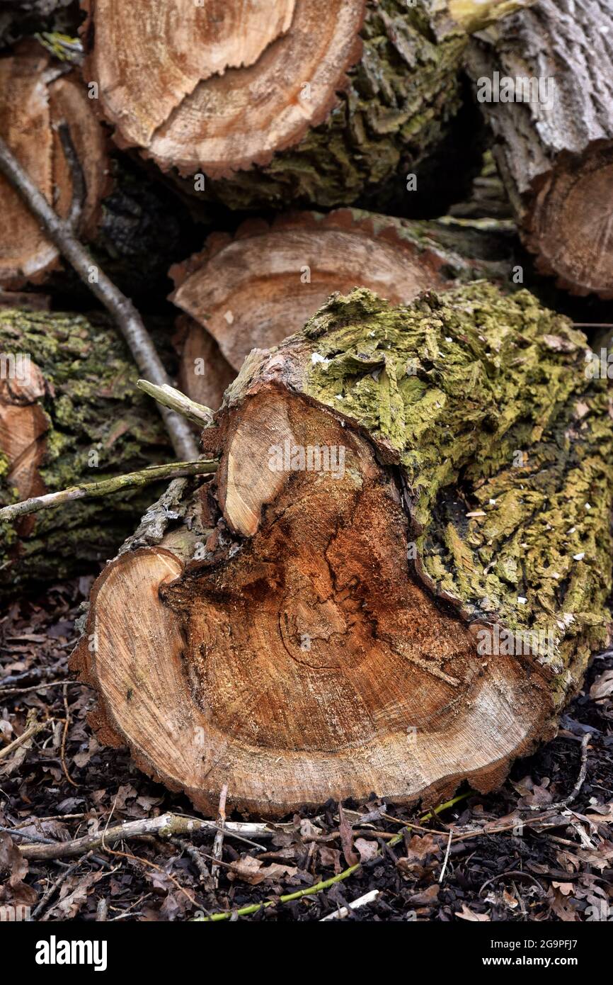 Firewood outside hi-res stock photography and images - Alamy