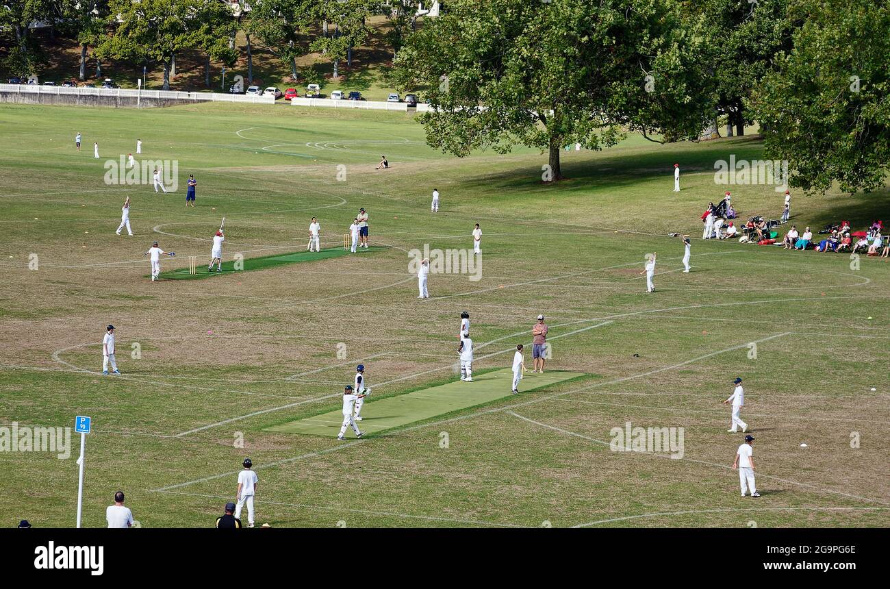 Young trees zealand park hi-res stock photography and images - Alamy