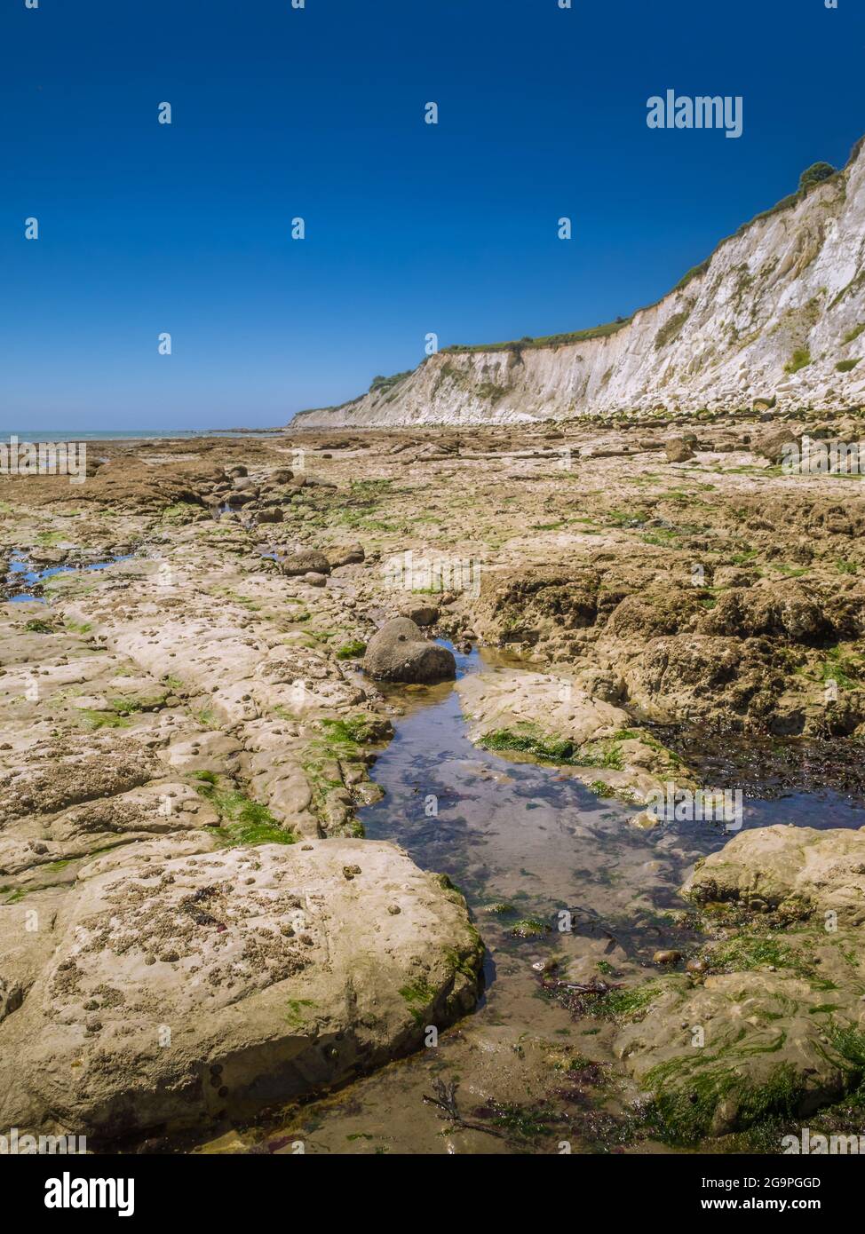 The beach at Holywell Eastbourne, Sussex UK, with the tide out ...