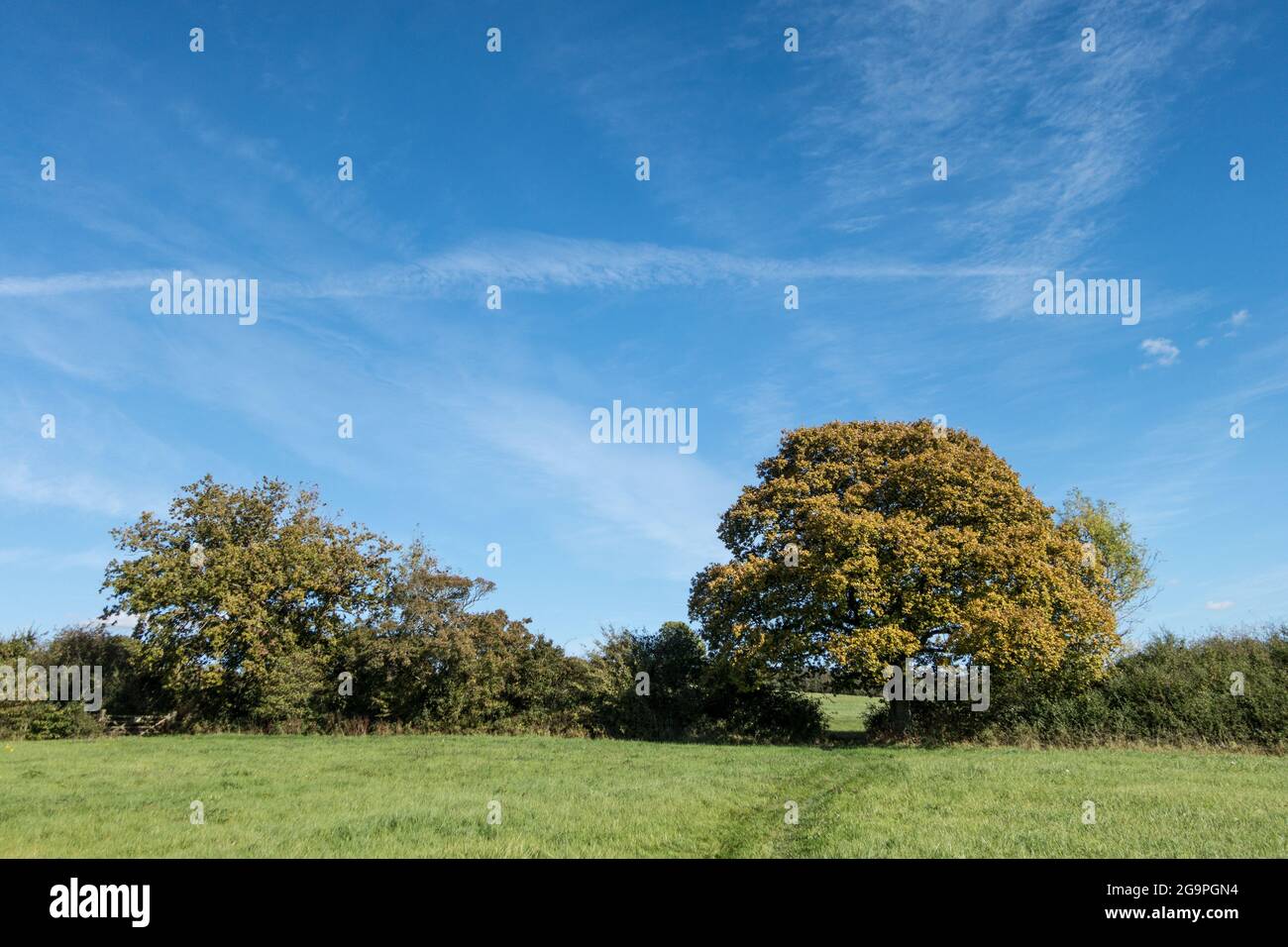 High cirrus clouds hi-res stock photography and images - Alamy