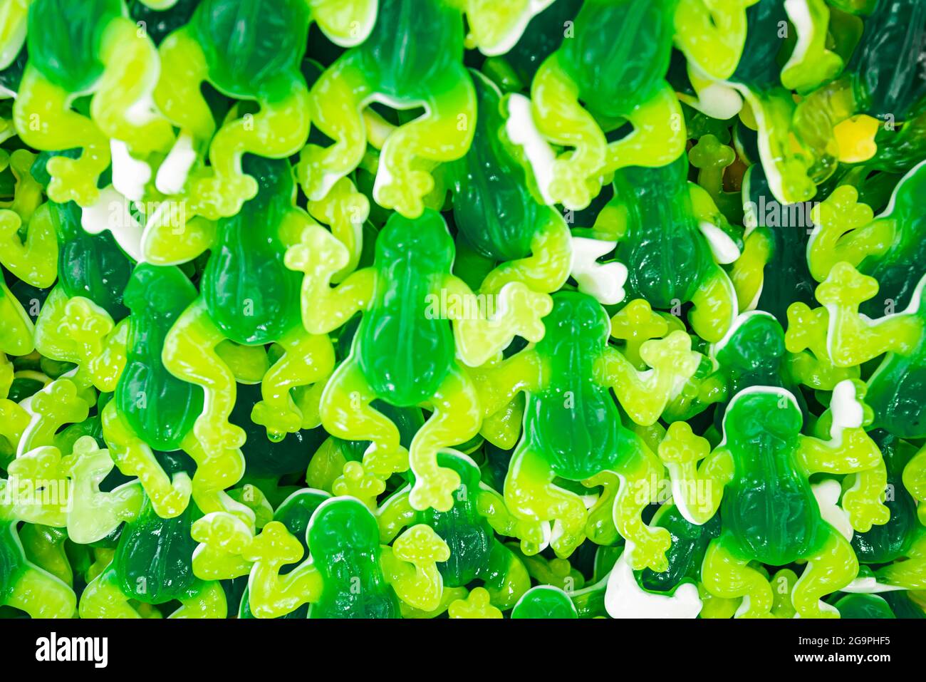 green and white gummy candy frog. marmalade, toffee Stock Photo - Alamy