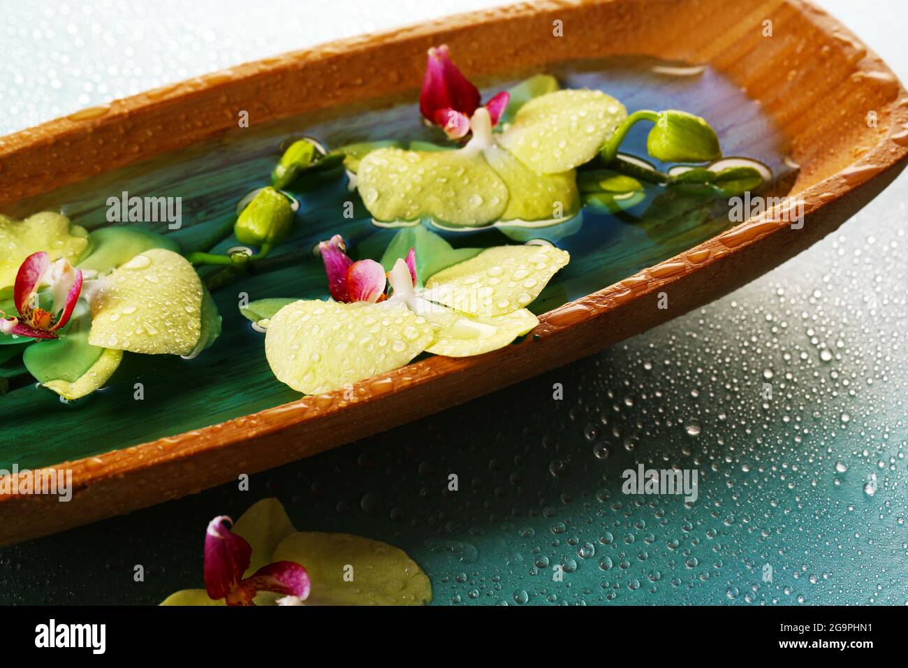 Beautiful orchid flowers in water close-up Stock Photo - Alamy