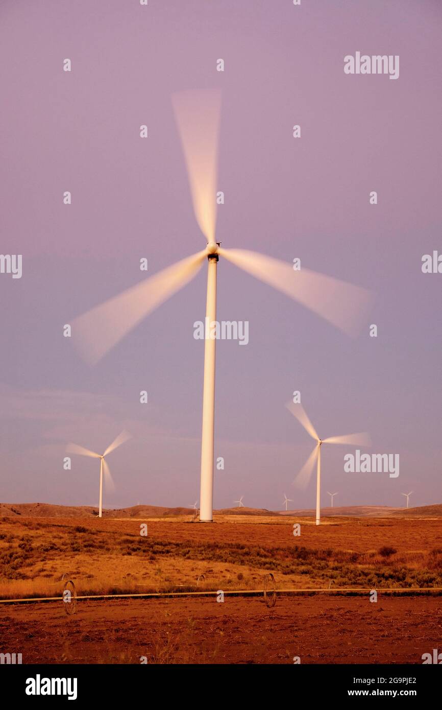 Windmill wind turbines spinning fast in wind at sunset or sunrise Stock ...