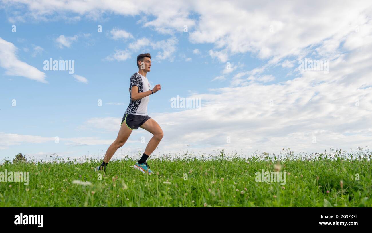 Training fields hi-res stock photography and images - Alamy