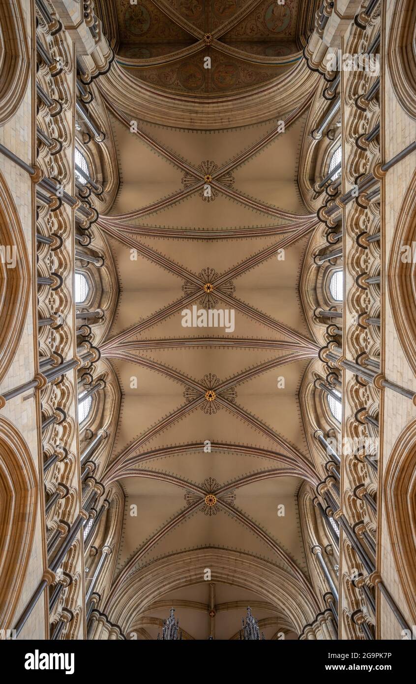 Beverley minster interior hi-res stock photography and images - Alamy