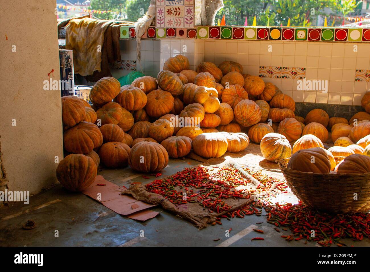 Pumpkins In the temple kitchen in Parvati Valley Manikaran Ihdia Stock ...