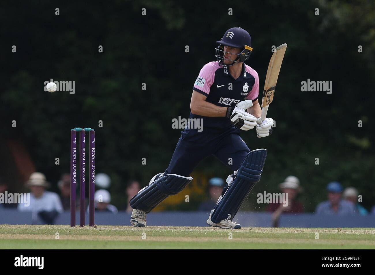 Robbie white hi-res stock photography and images - Alamy