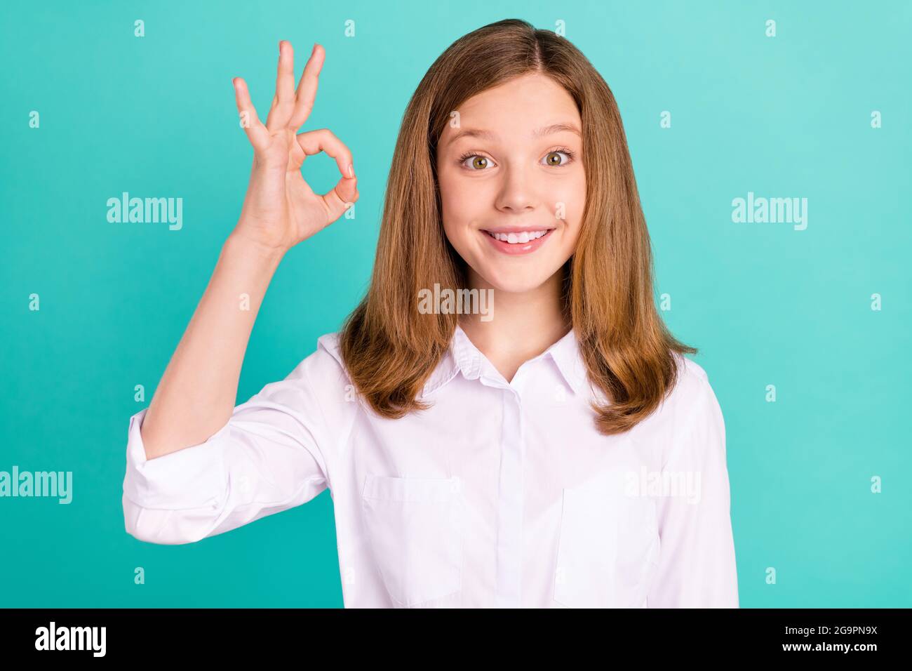 Portrait of attractive cheerful girl showing ok-sign agree ad perfect ...