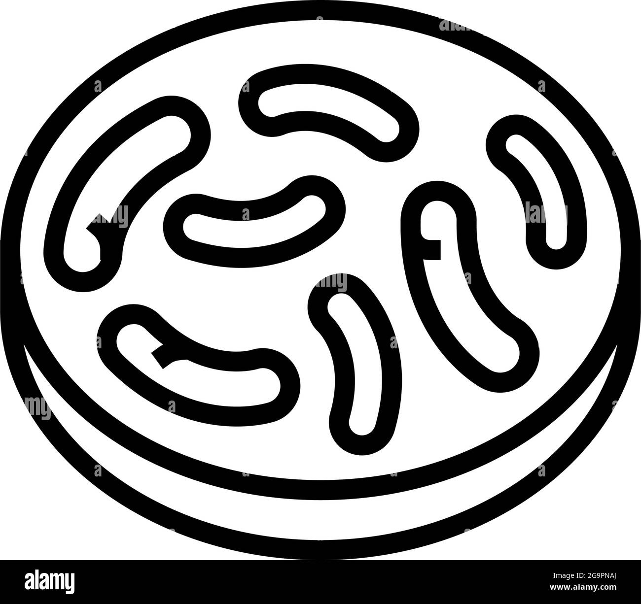 gut bacteria line icon vector illustration Stock Vector Image & Art - Alamy