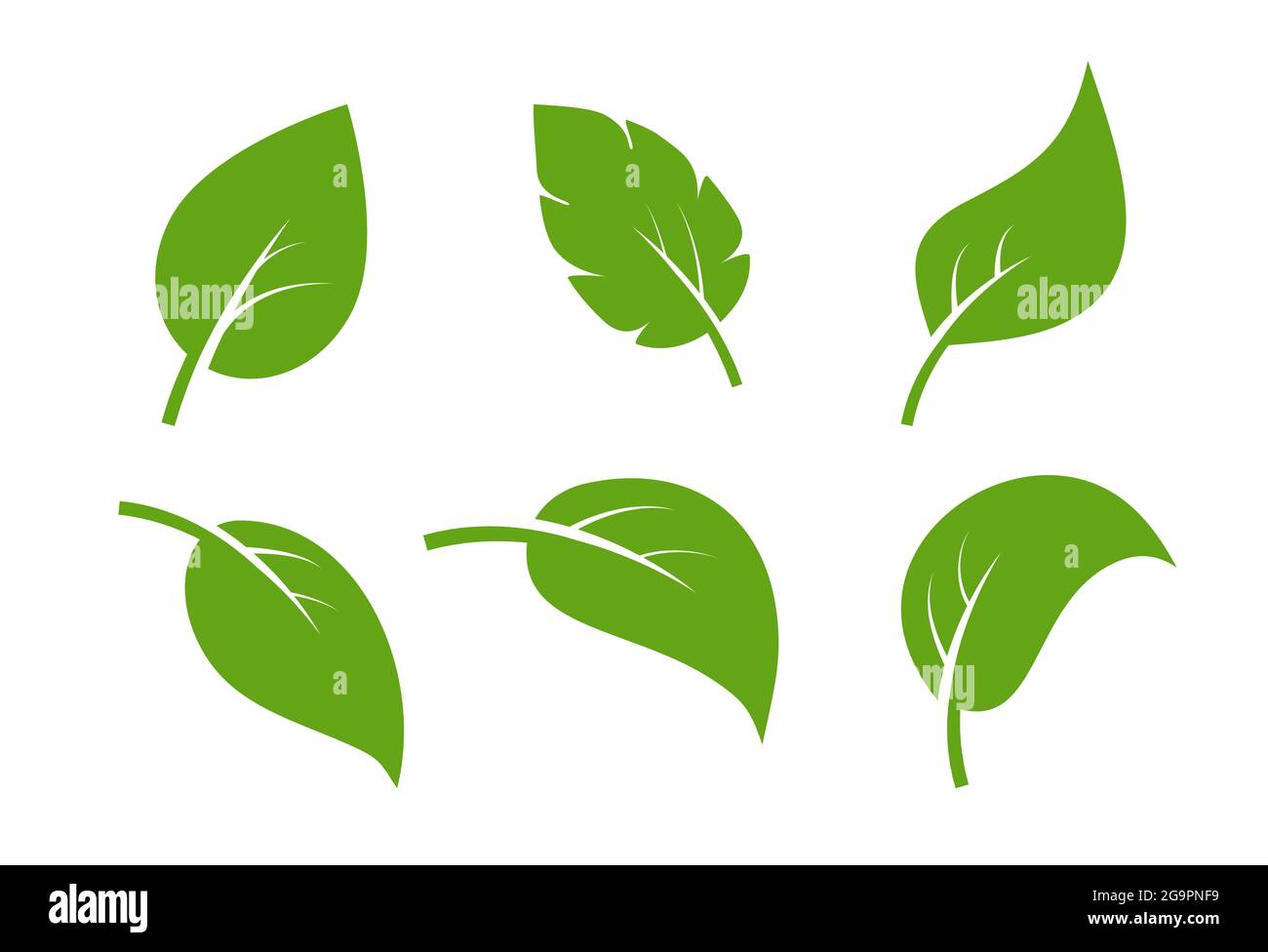 Leaf vector icon logo. Vegan leaves green eco flat herbal icon simple ...