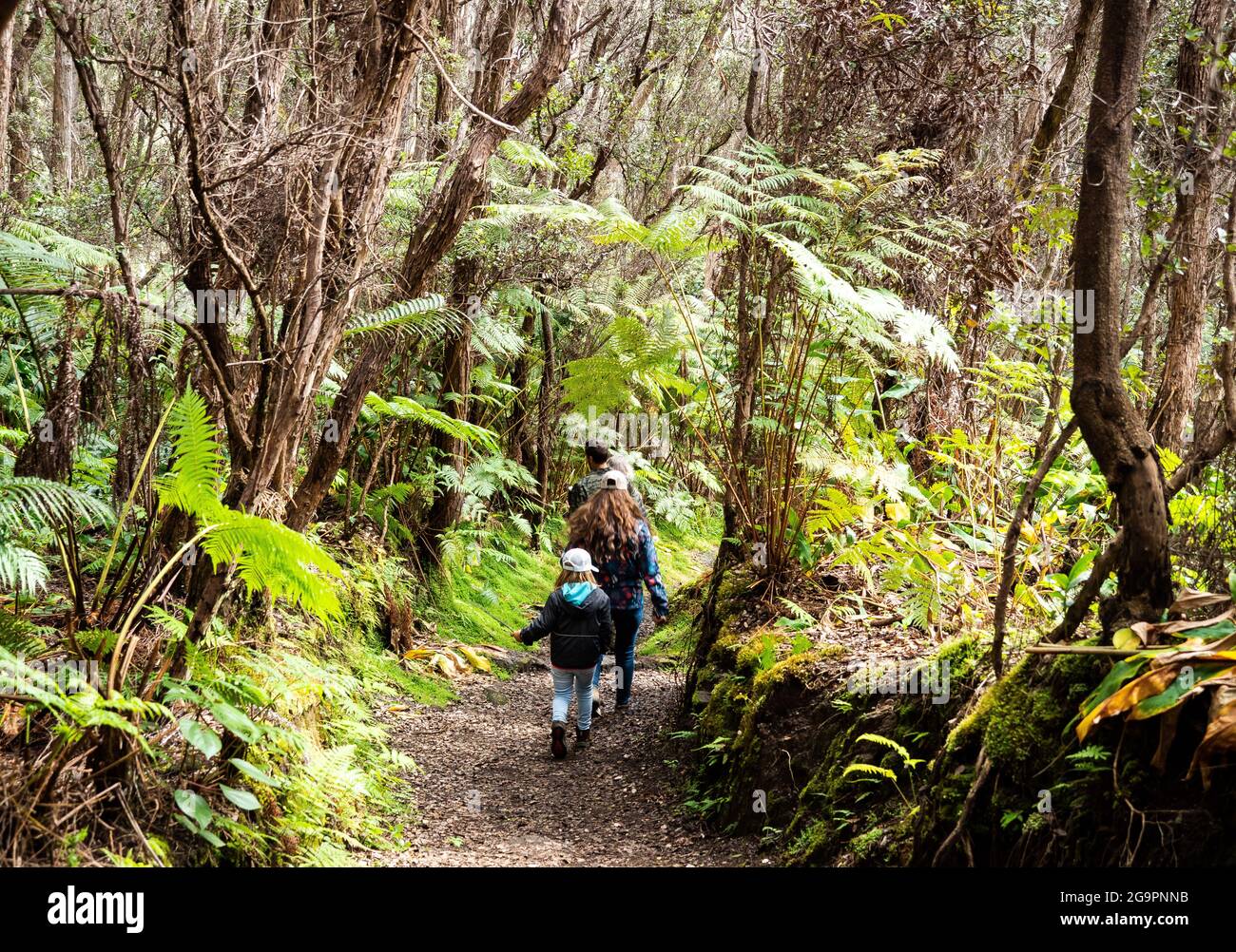 A mother and daughter hike deep in the rainforest of Volcanoes National ...