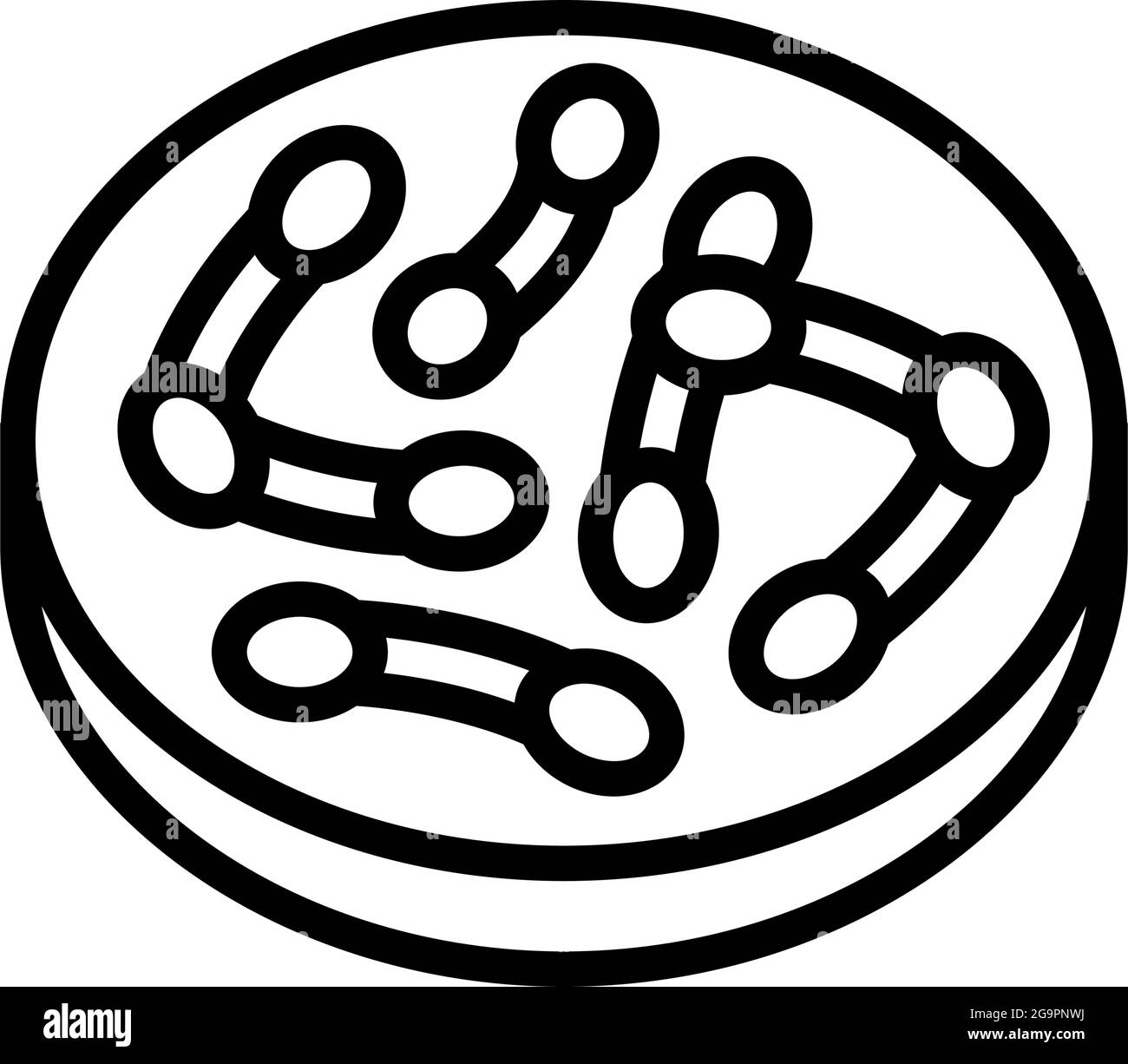 bacteria corynebacterium diphtheriae line icon vector. bacteria ...