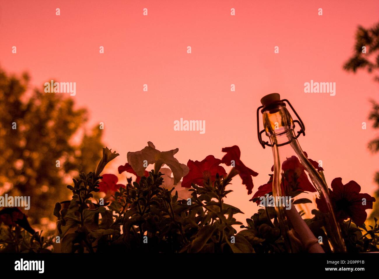 Closeup shot of bottle post under a red sky at sunset Stock Photo - Alamy
