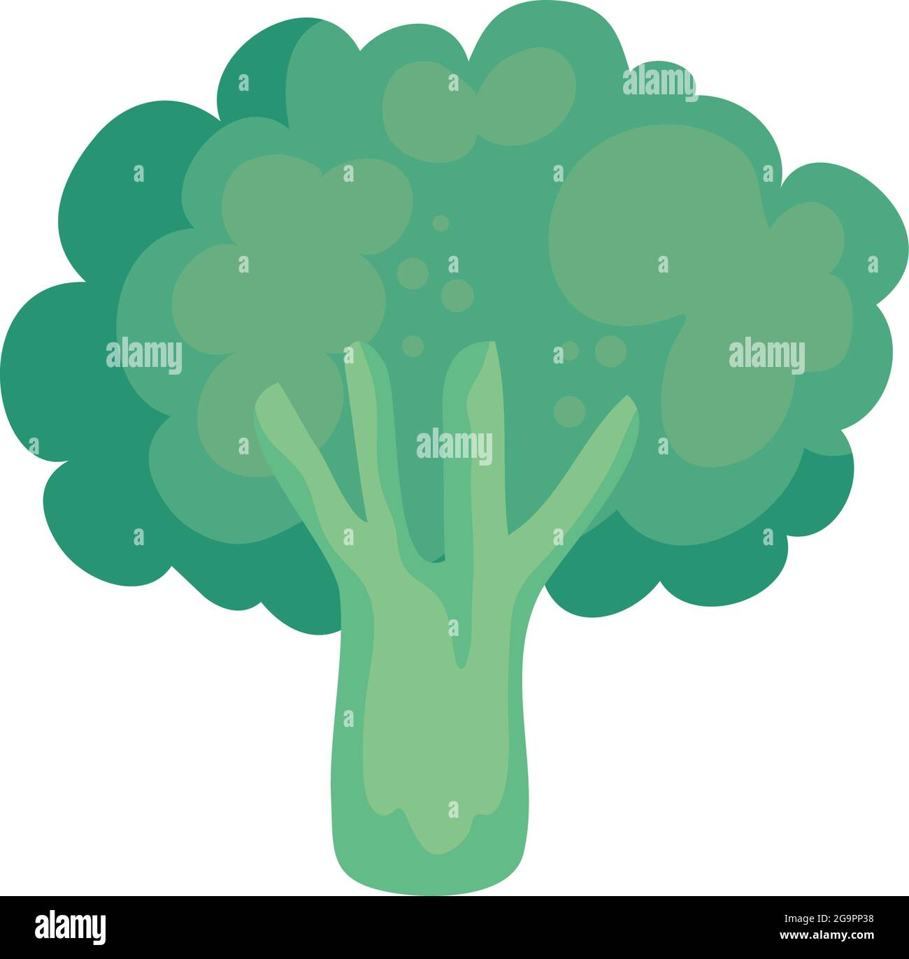broccoli vegetable icon Stock Vector Image & Art - Alamy