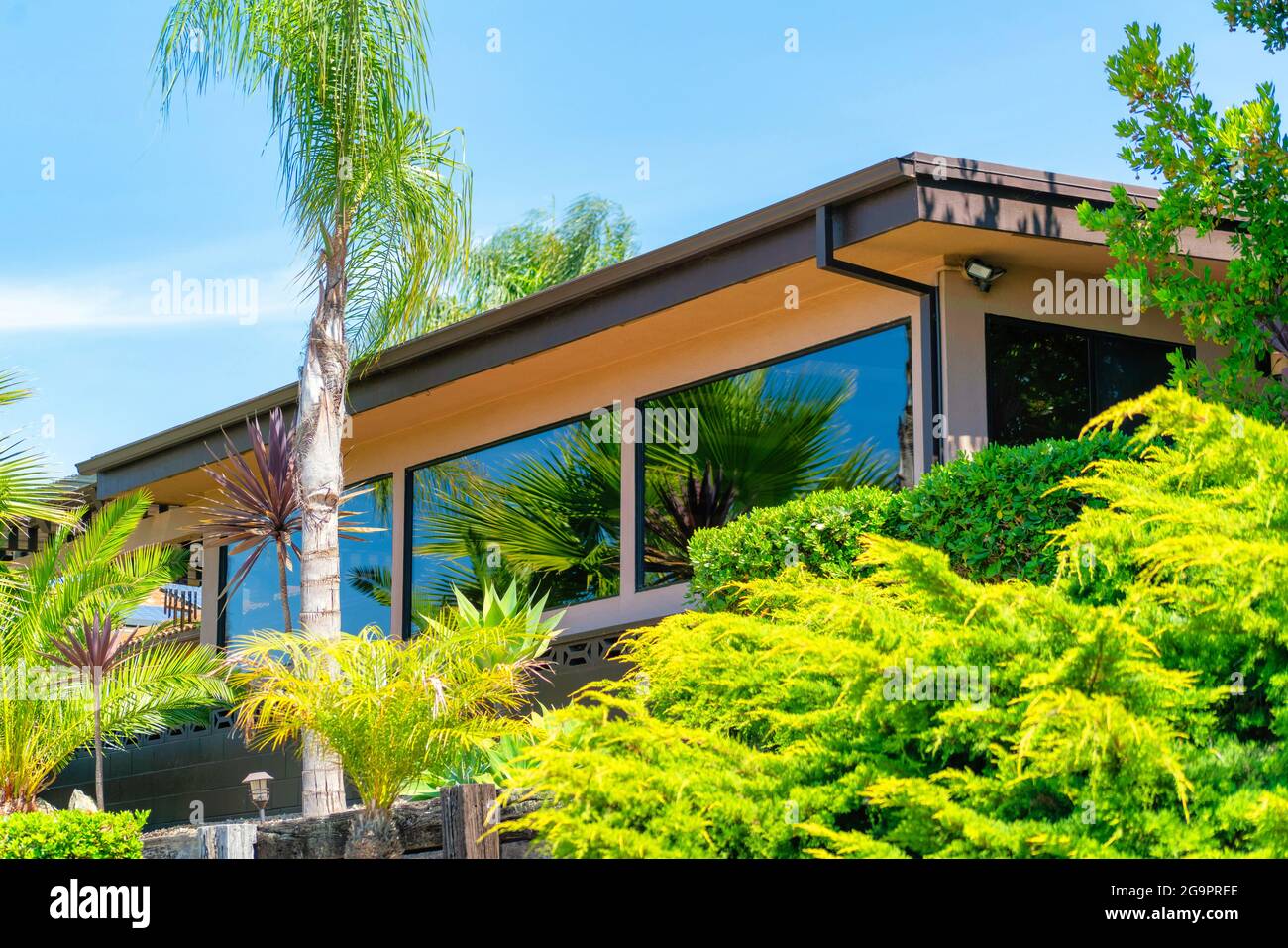 Exterior of a beautiful modern house surrounded by trees on a sunny ...