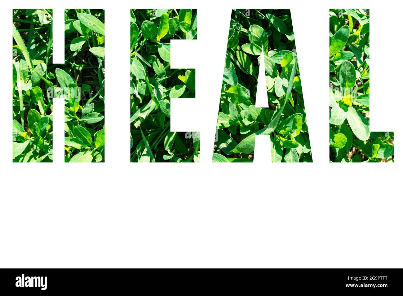 The word HEAL from green grass isolated on white background. Elements ...