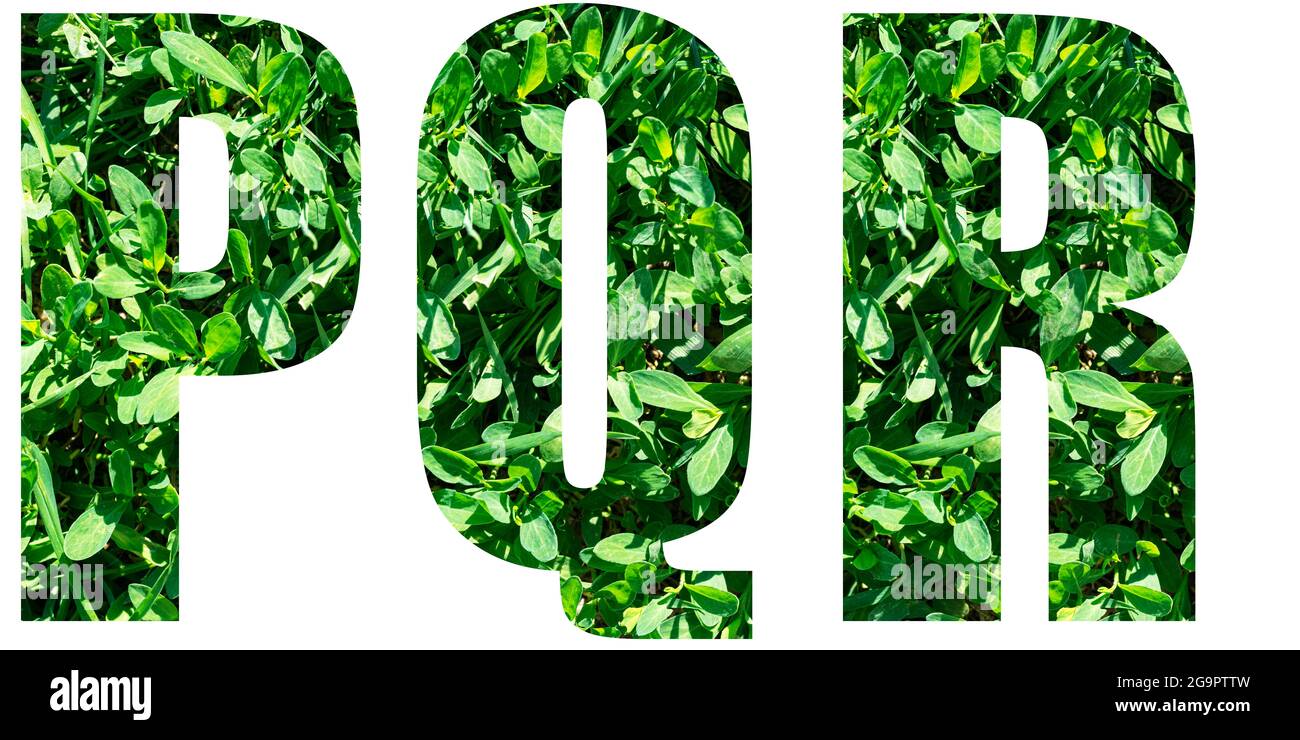 English alphabet letters set. Letters P Q R from green grass isolated ...