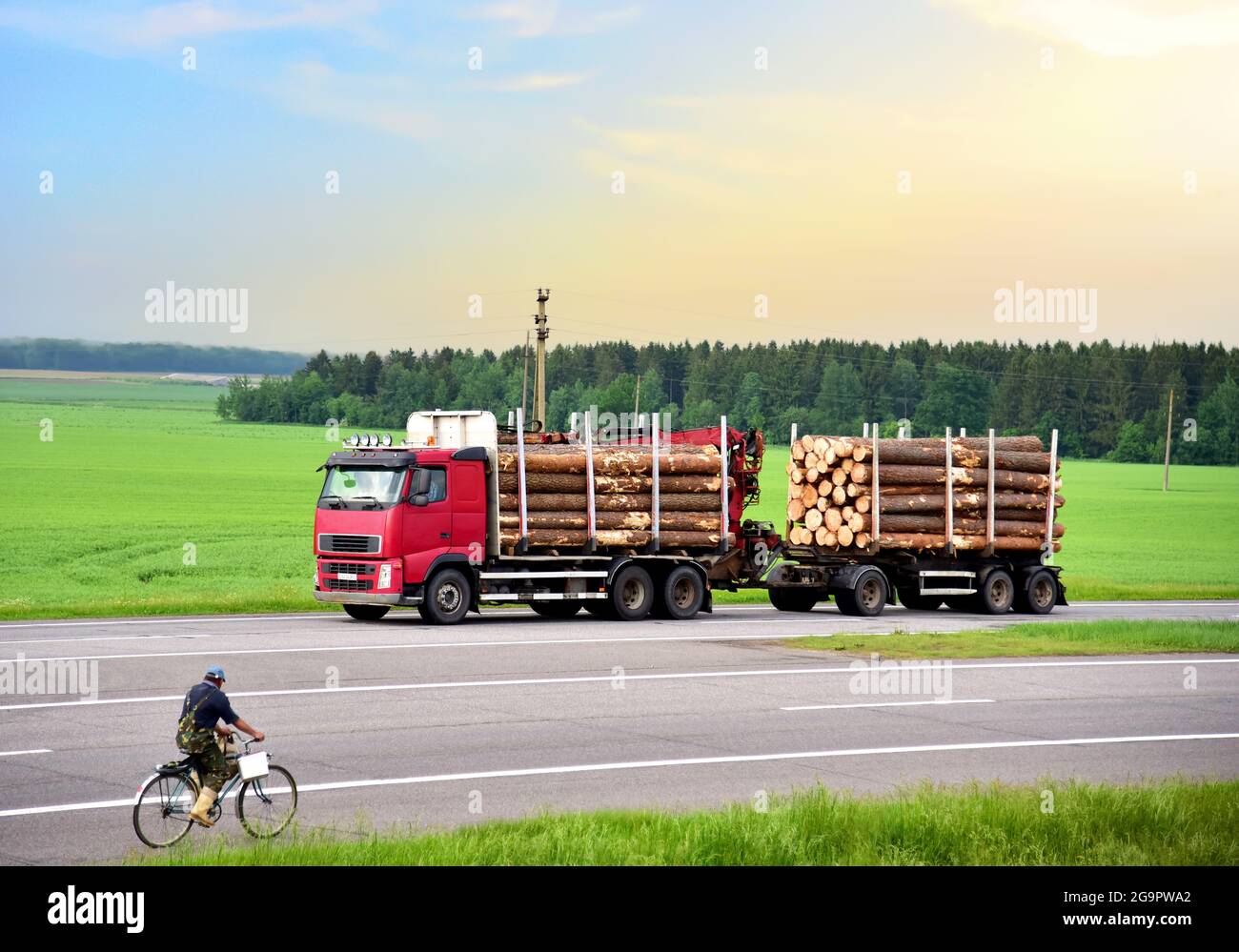Timber truck transporting cut trees from forest along highway ...