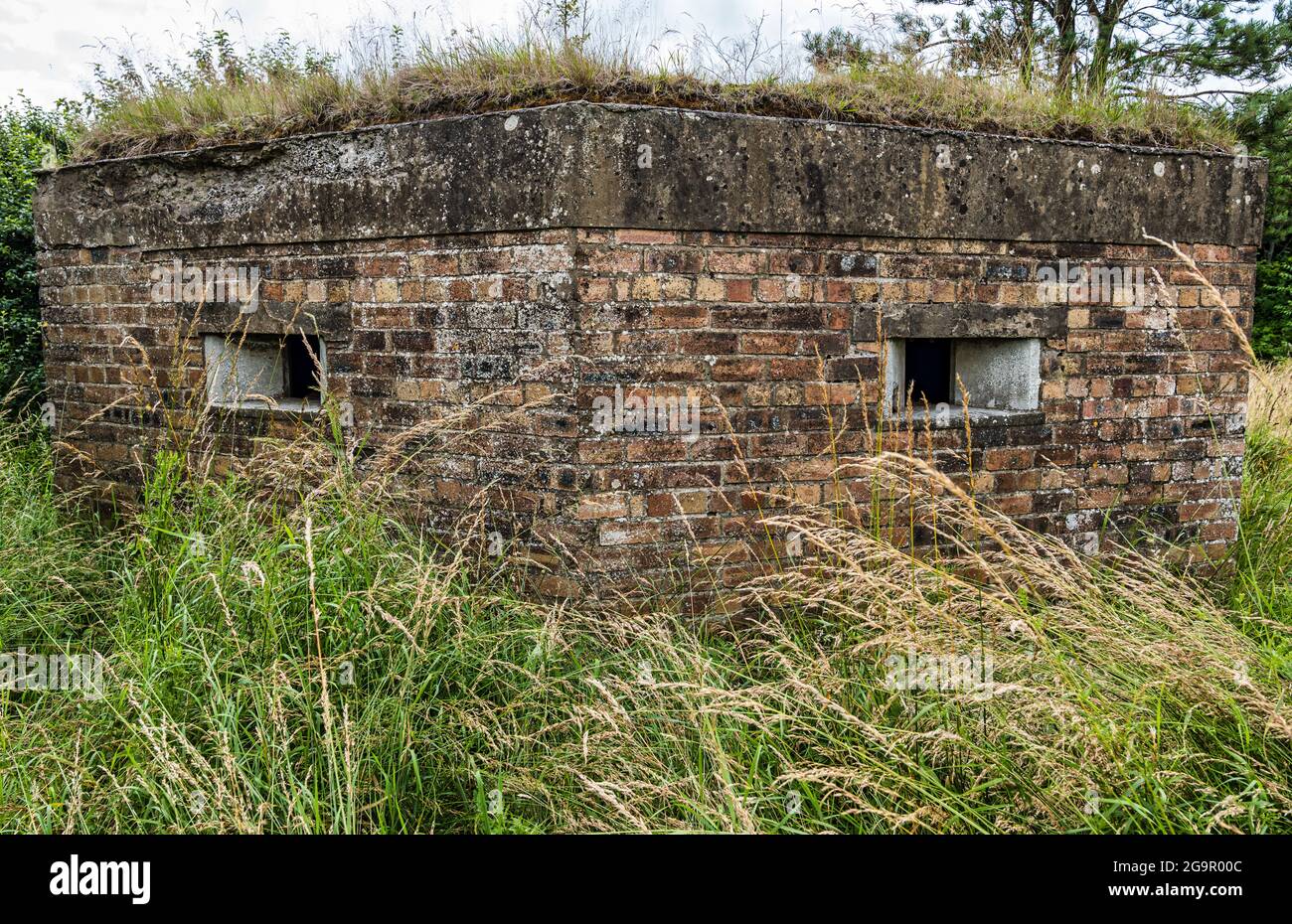 World War II wartime defence relic overgrown brick pillbox at RAF ...