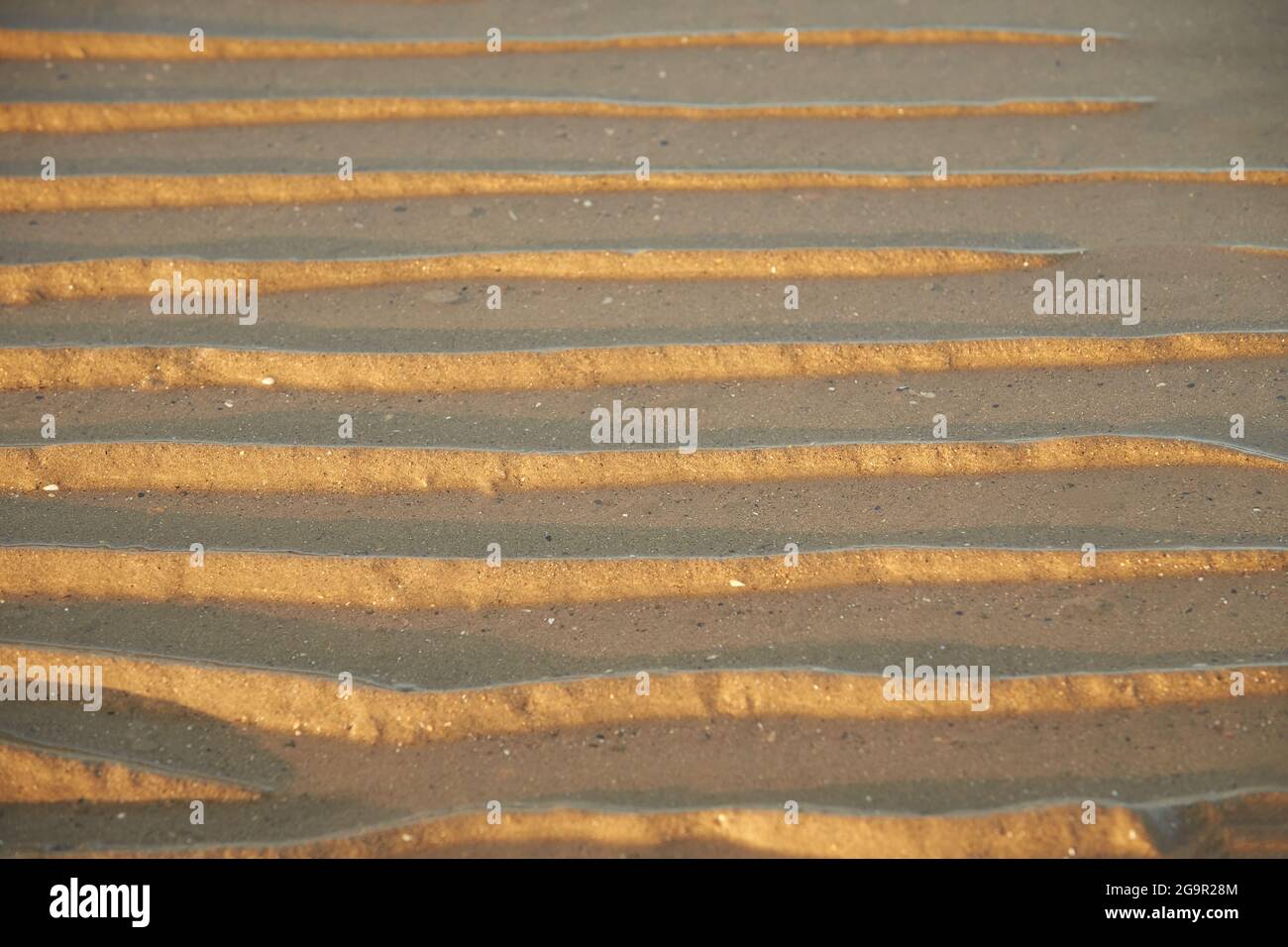 Sand waves texture with water on the sea beach. Yellow sand texture for ...