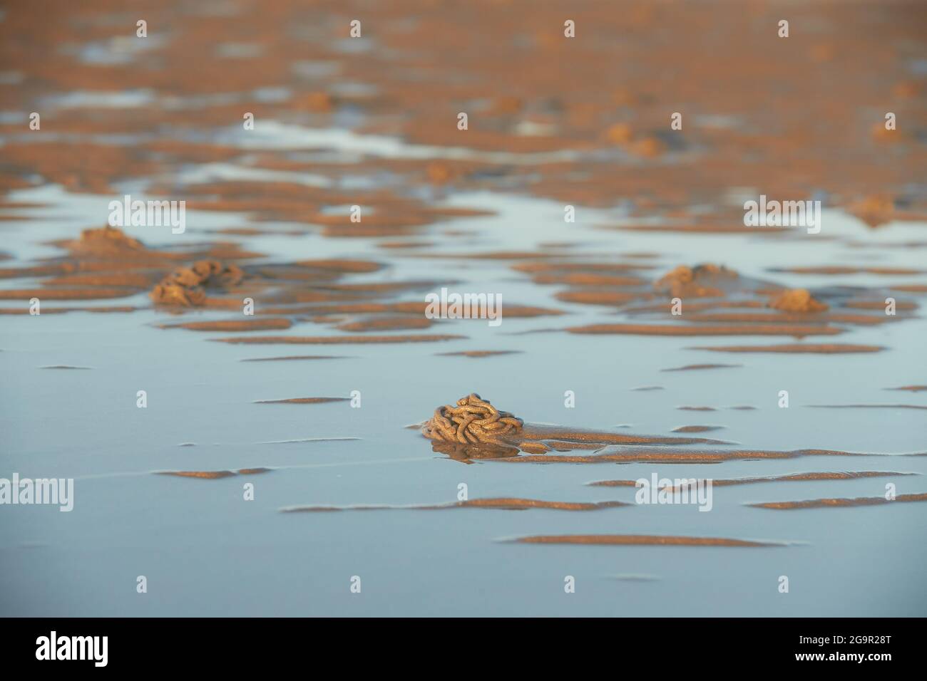 Sand waves texture with water on the sea beach. Yellow sand texture for ...