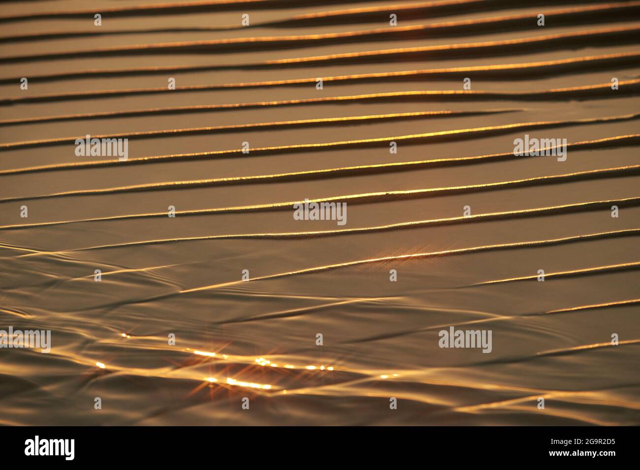 Sand waves texture with water on the sea beach. Yellow sand texture for ...