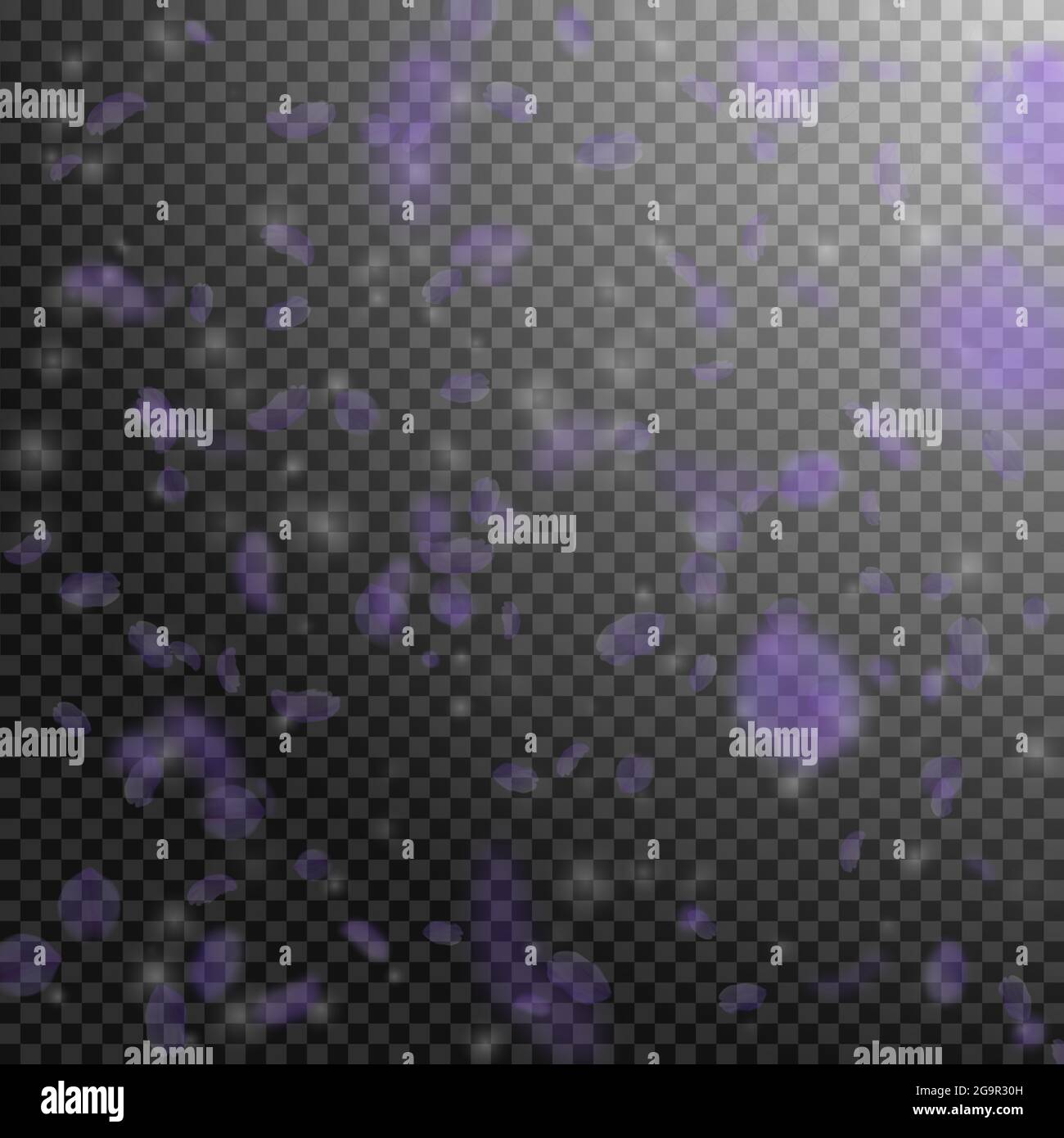 Violet flower petals falling down. Astonishing romantic flowers falling ...