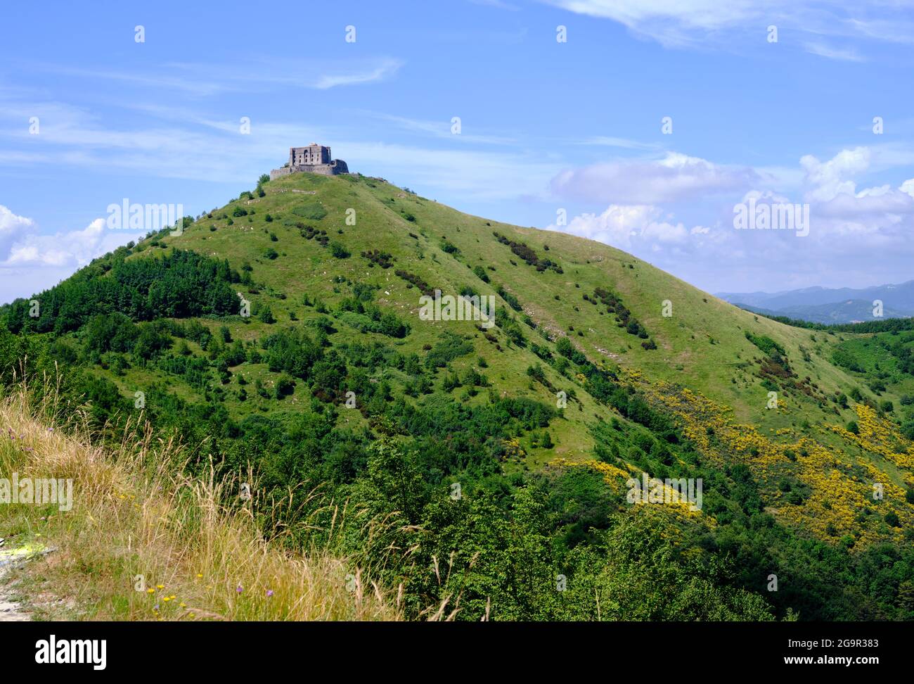 Leaf arc hi-res stock photography and images - Alamy