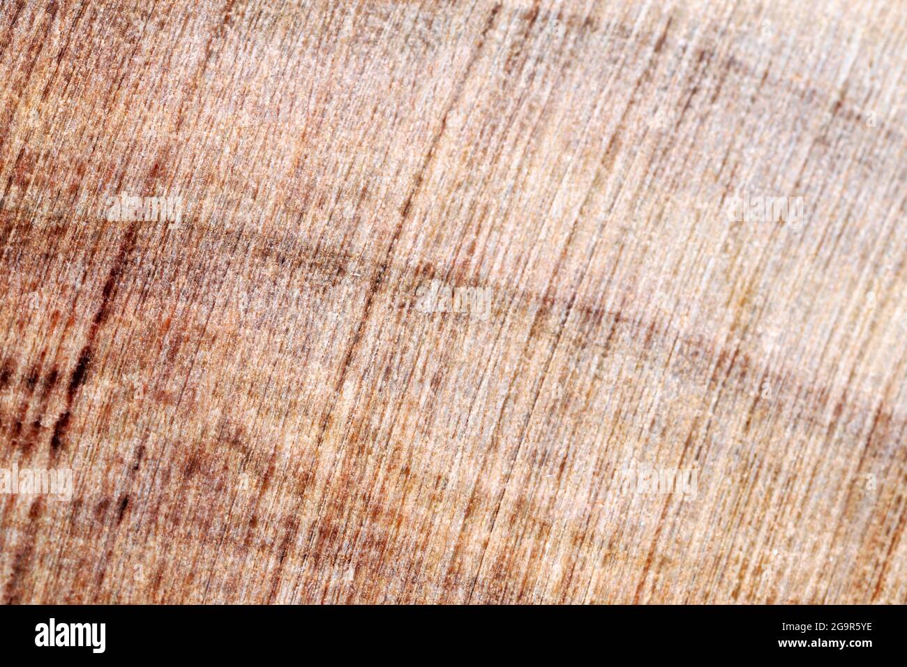 Wood texture close up Stock Photo - Alamy