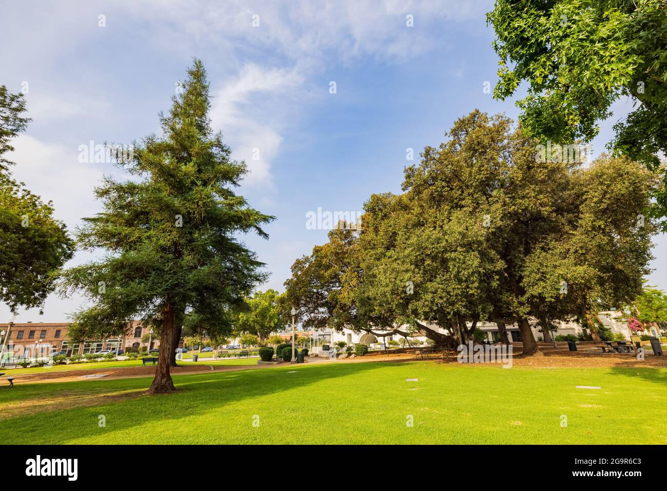 Morning view of the Library Park at Monrovia Stock Photo - Alamy