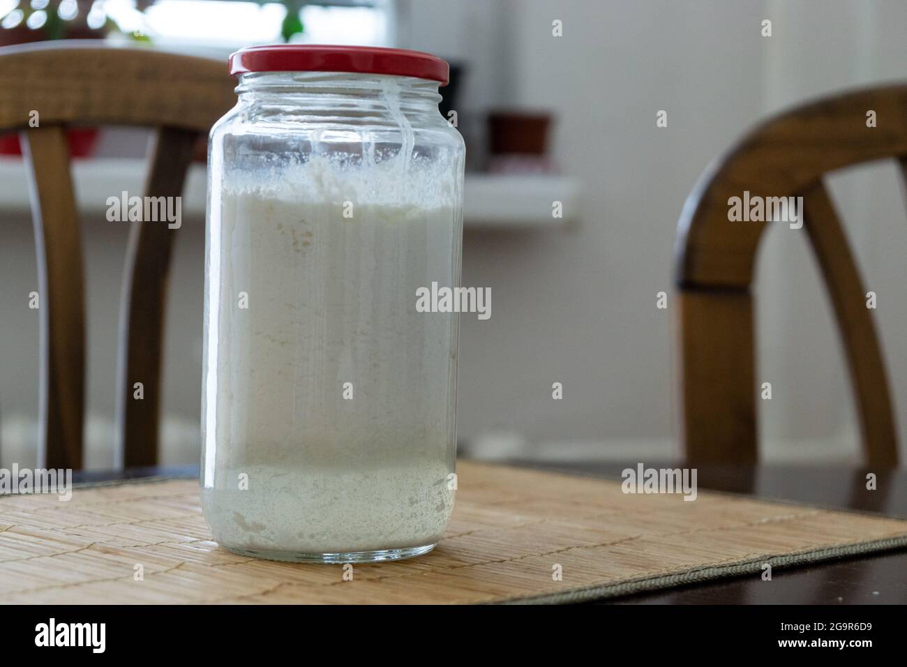 Home made milk kefir and kefir grains in the bottle jar Stock Photo - Alamy