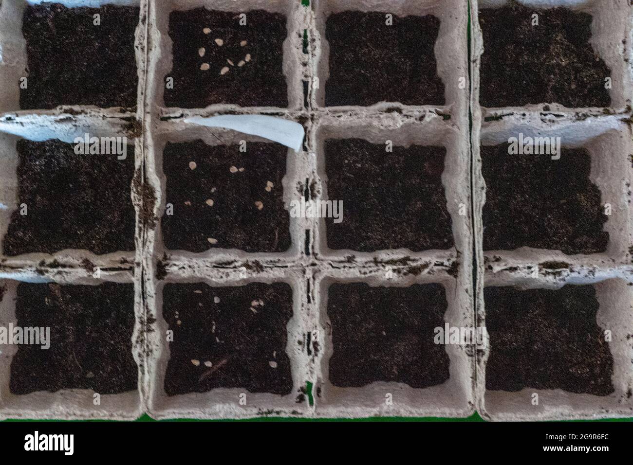 Plant growing in waste ground hi-res stock photography and images - Alamy