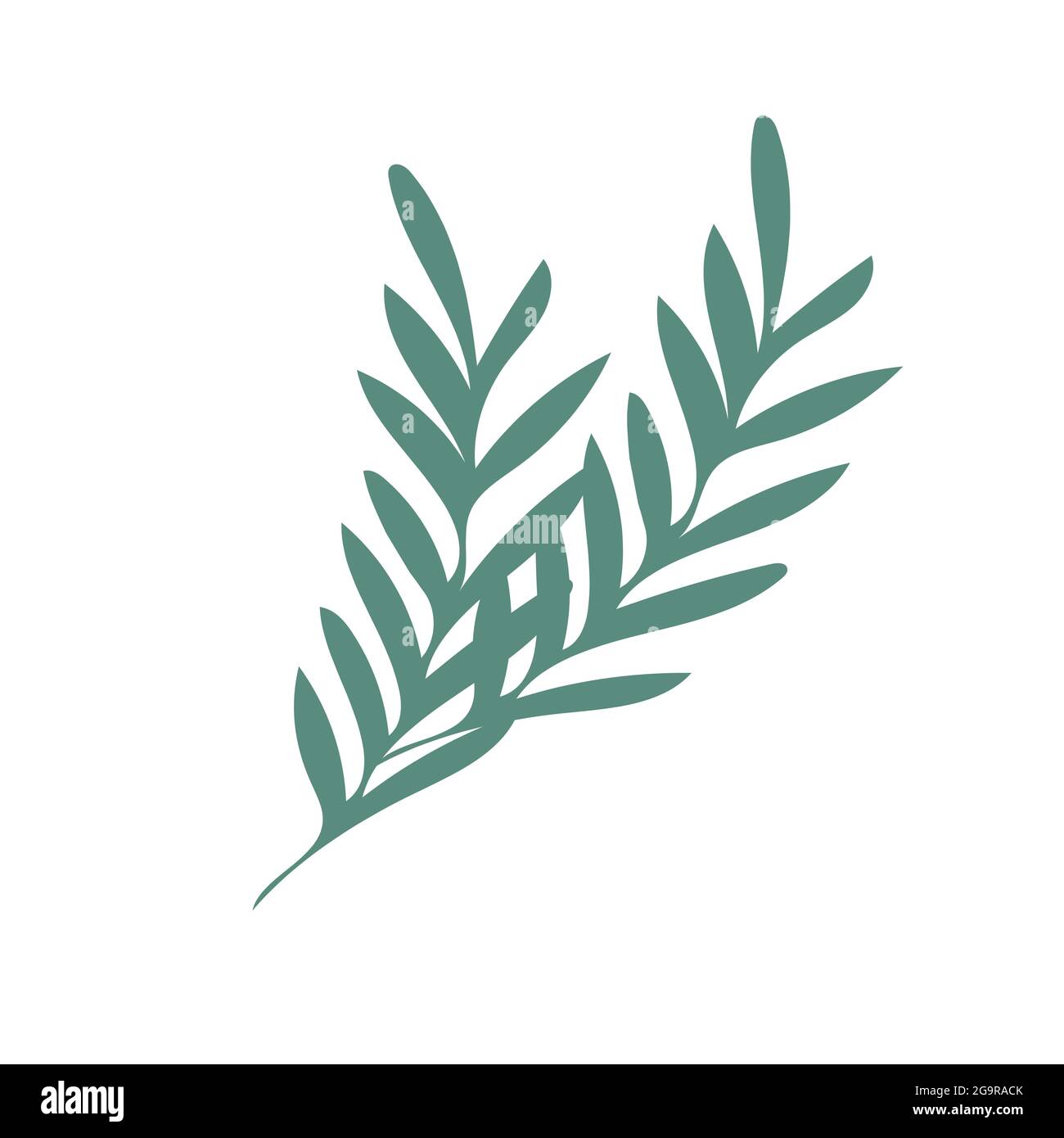 Tropical leaf illustration isolated on white Stock Vector Image & Art ...