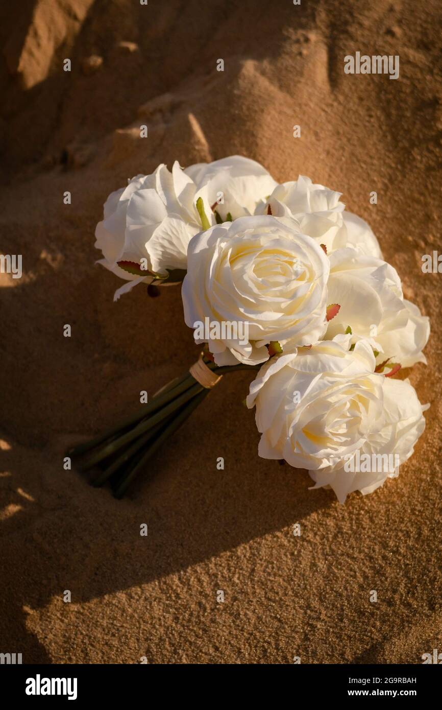 Vertical shot of beautiful white roses on the sandy background Stock ...