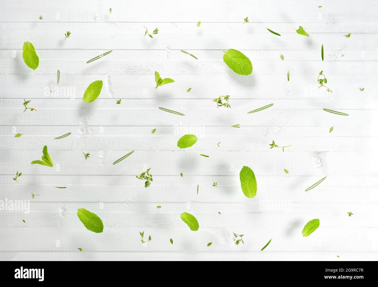 Fresh leaves of spicy plants in scattering over a white wooden ...