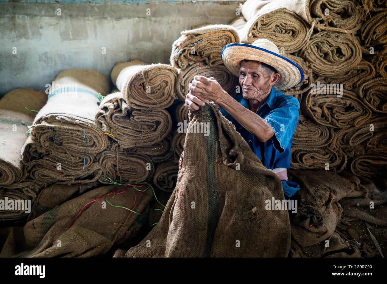 Old man sewing jute sacks for packaging at an agricultural facility ...