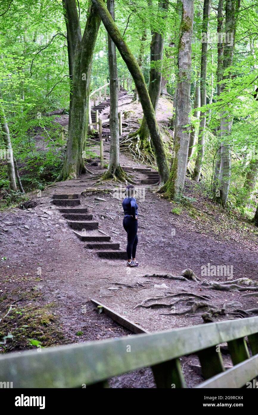 A black woman going up long steps on a hike in the woods Stock Photo ...