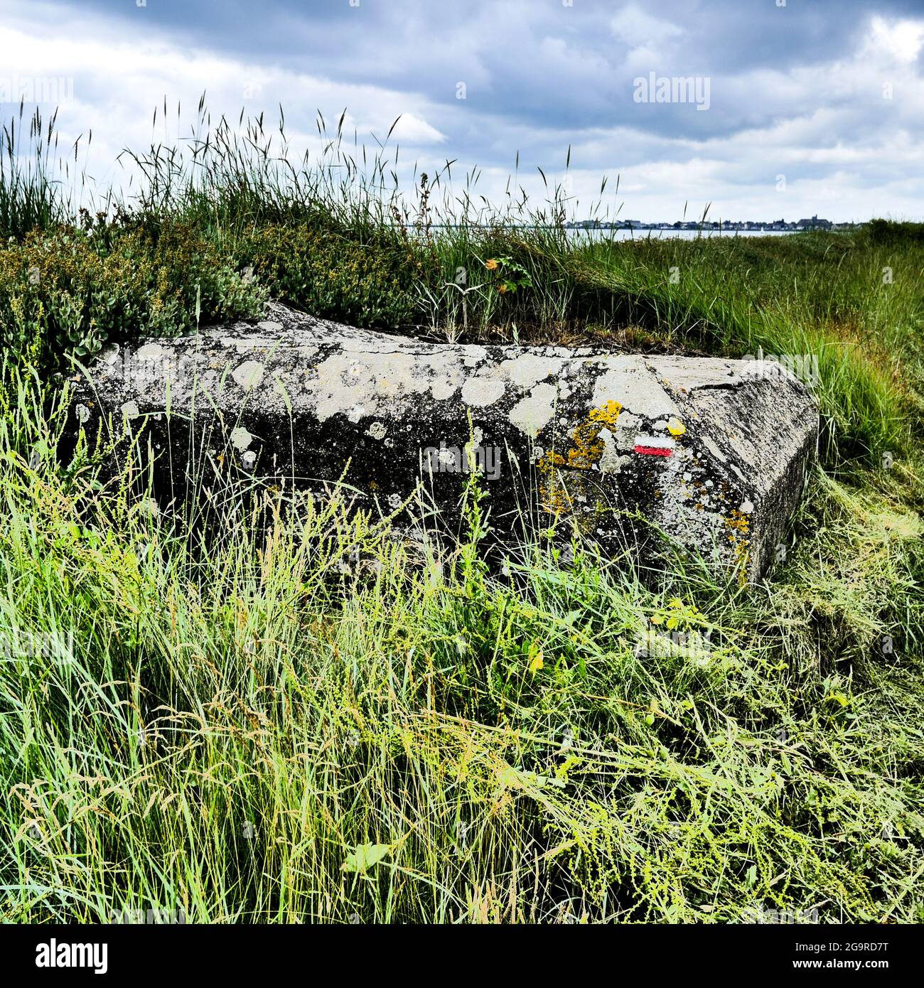German WWII blockhaus, Manche department, Cotentin, Normandy, France ...