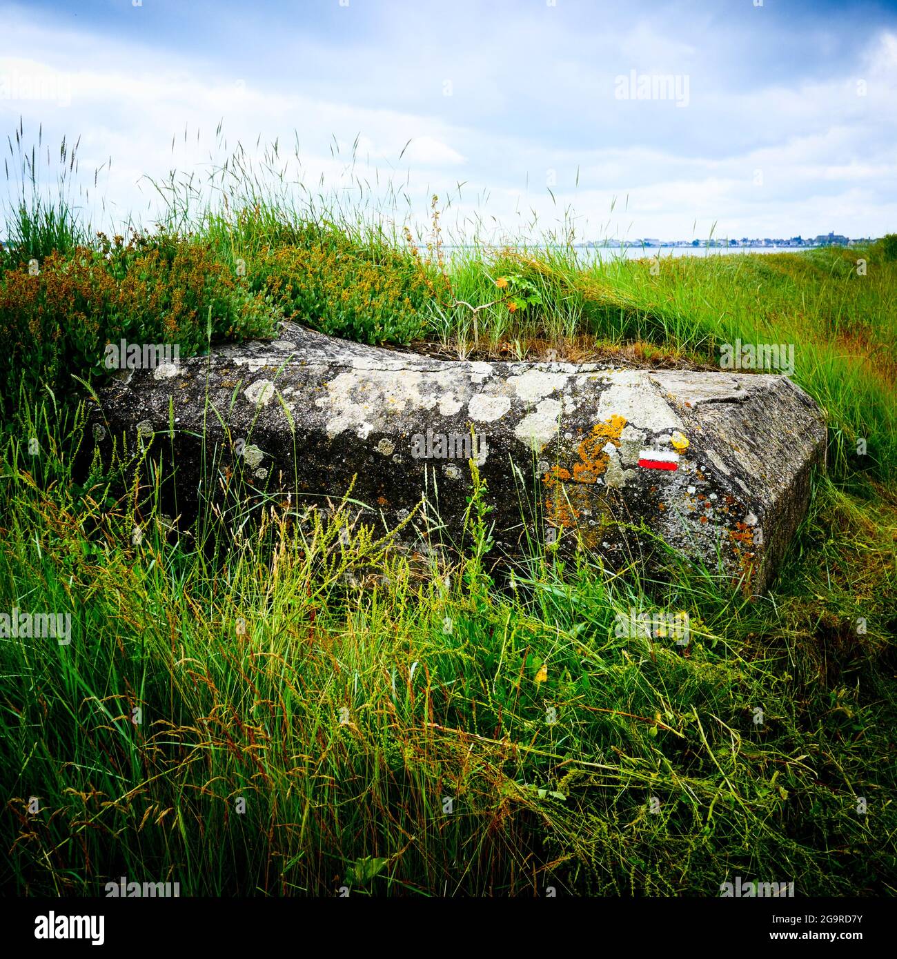 German WWII blockhaus, Manche department, Cotentin, Normandy, France ...
